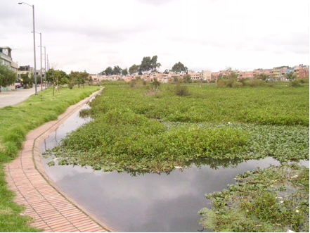 Invierno Humedal Jaboque - Fundación Humedales Bogotá